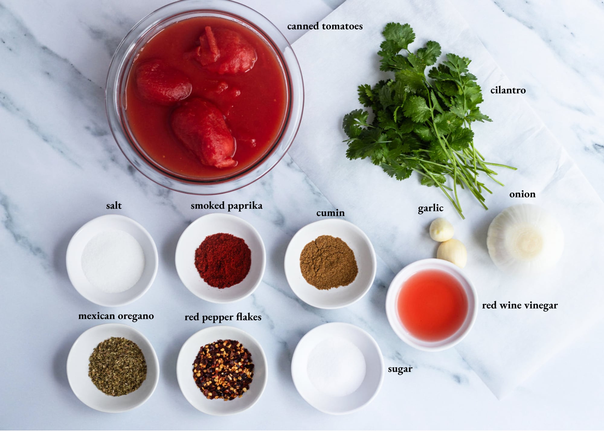 Quick and Easy Salsa Recipe