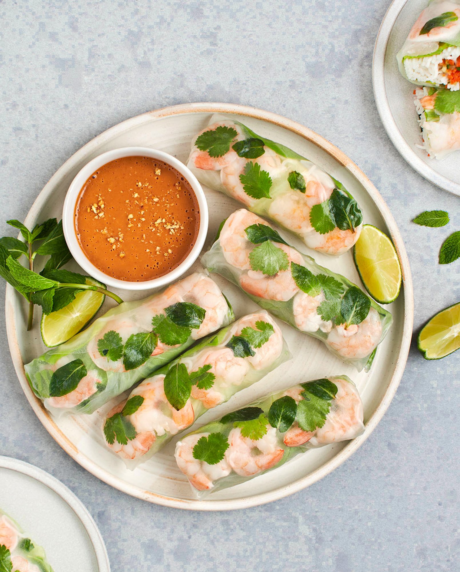 Vietnamese Summer Rolls - Once Upon a Chef