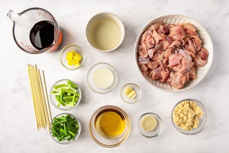 Yakitori Recipe (Japanese Chicken Skewers with Tare Sauce)